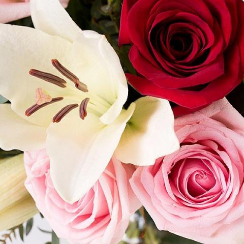 Fudge Cake & Love Cocktail-Roses and Lilies