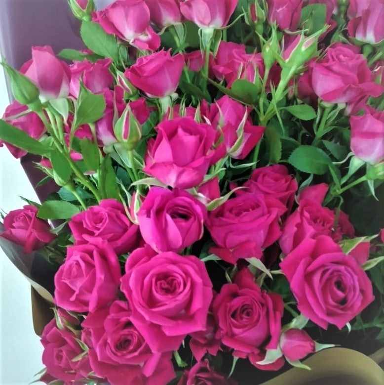 10 Dark Pink Spray Roses Bouquet