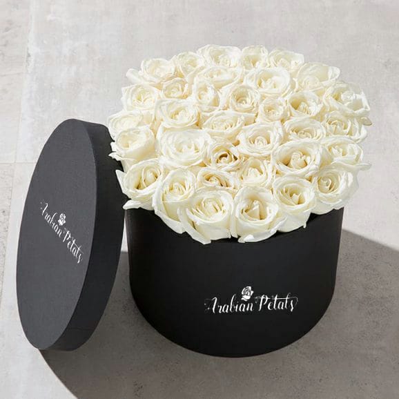 White Roses - Round Box - VD